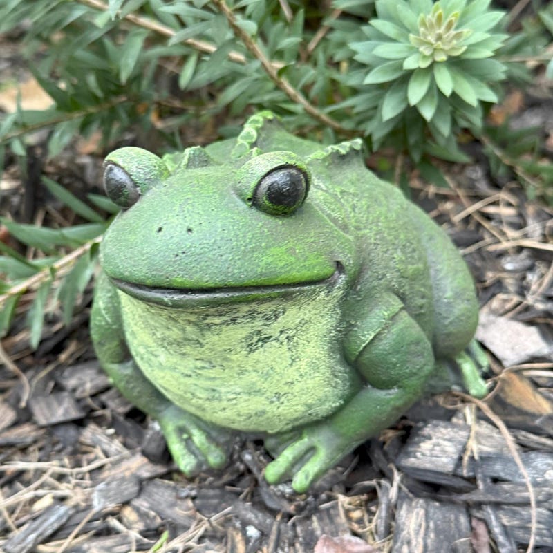 Large Garden Frog Statues - Etsy