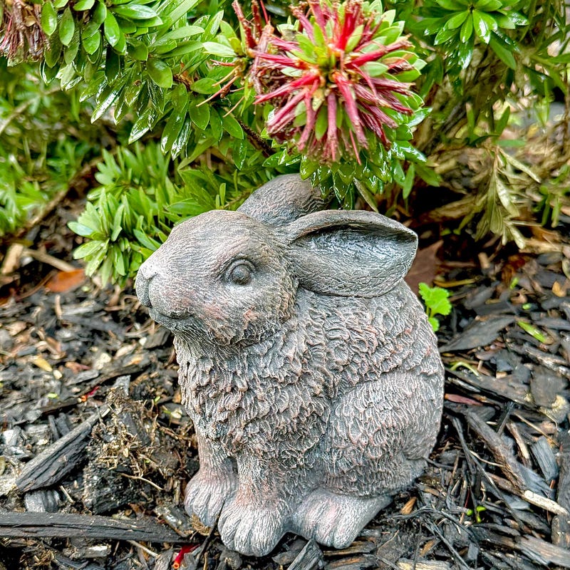 Concrete Bunny Painted - Etsy