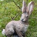 Concrete Outdoor Rabbit Sculpture - Etsy