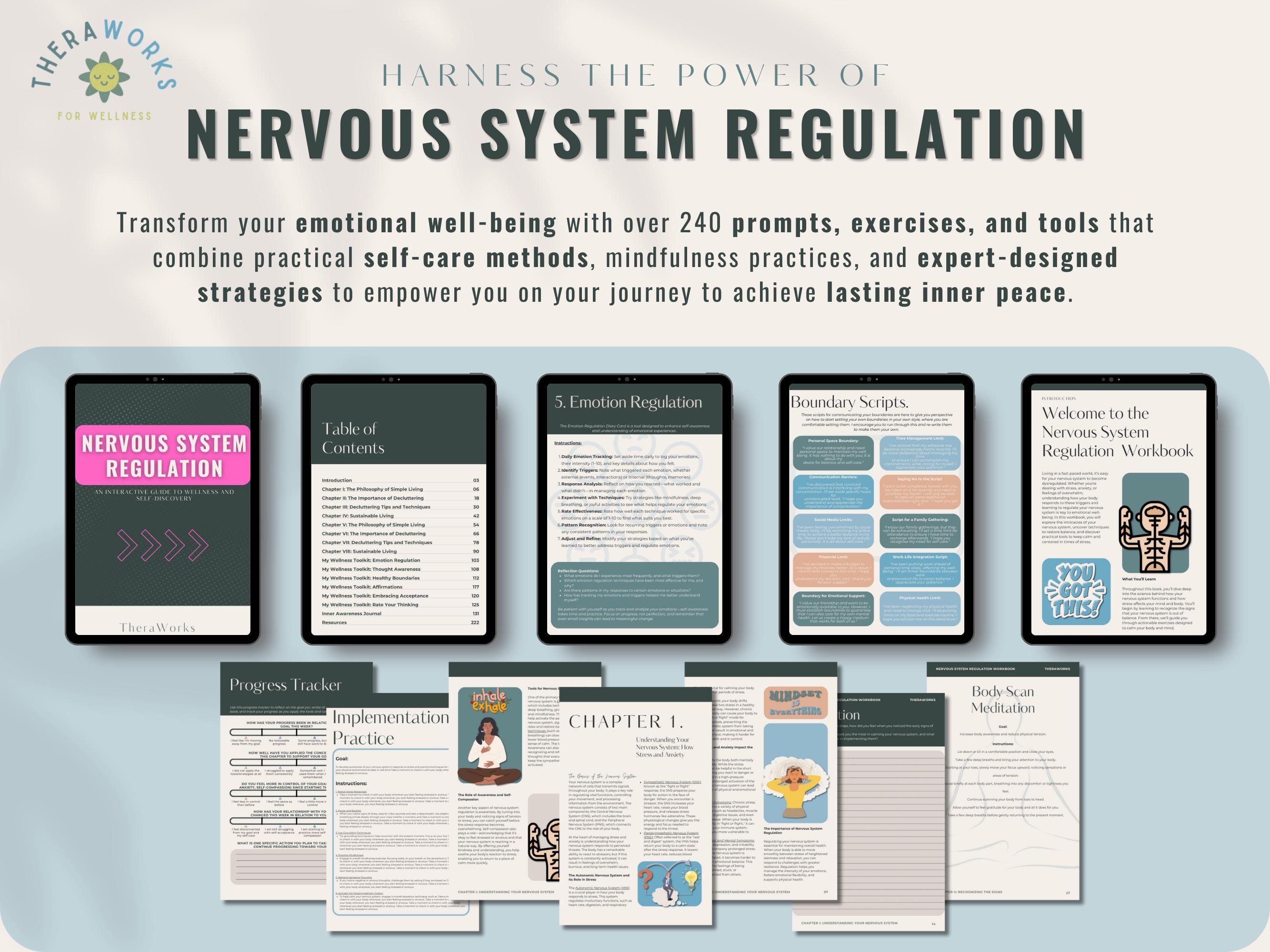 Regulating Nervous System Workbook - Regulated Nervous System Mapping ...