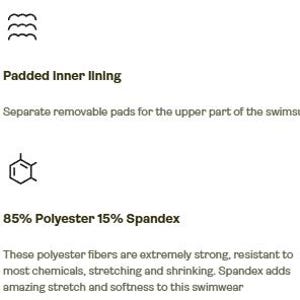 Tiger Vibes Bikini Confidence That Whispers, Seduction That Roars - Etsy