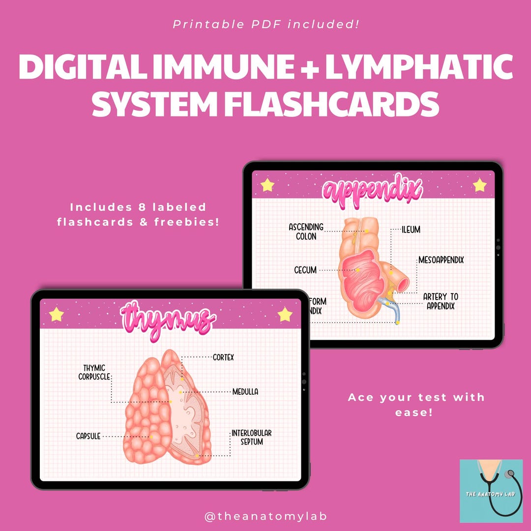 Digital Immune and Lymphatic System Flashcards | Goodnotes Flashcards ...