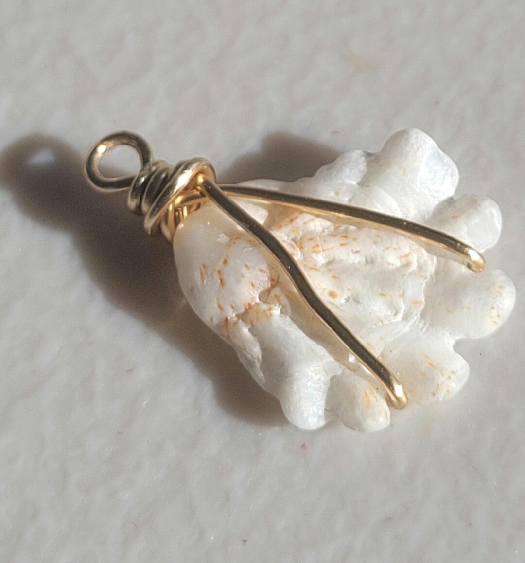 Cats Paw speckled Seashell Pendant - Etsy