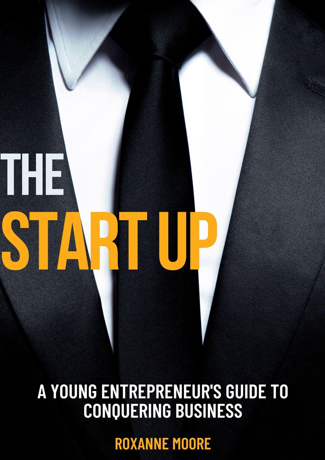 The Start up - A Young Entrepreneurs Guide to Conquering Business E ...