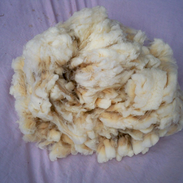 Cormo Fleece - Etsy