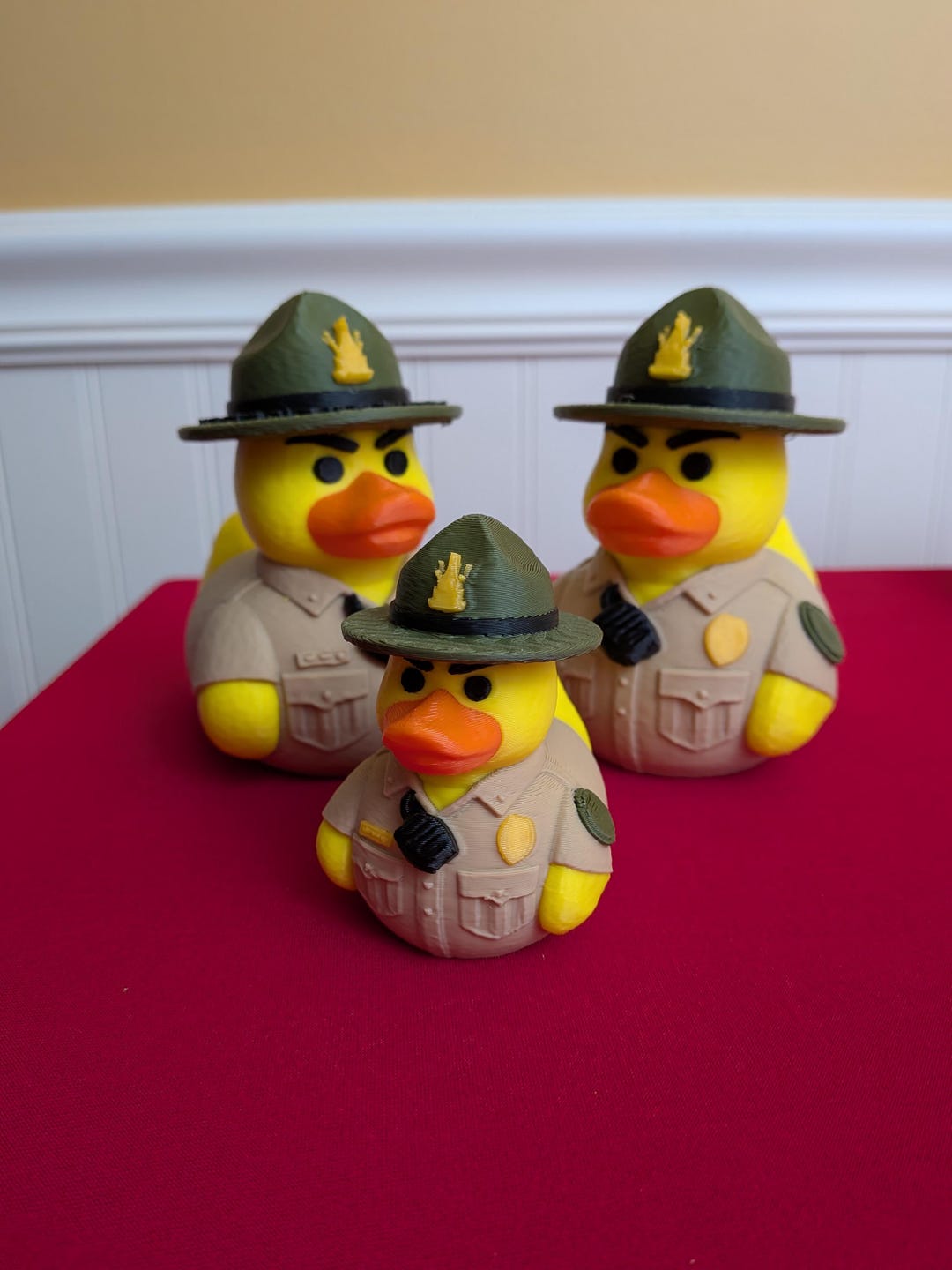 Park Ranger - Assistant Park Superintendent Duck | Outdoor Explorer ...