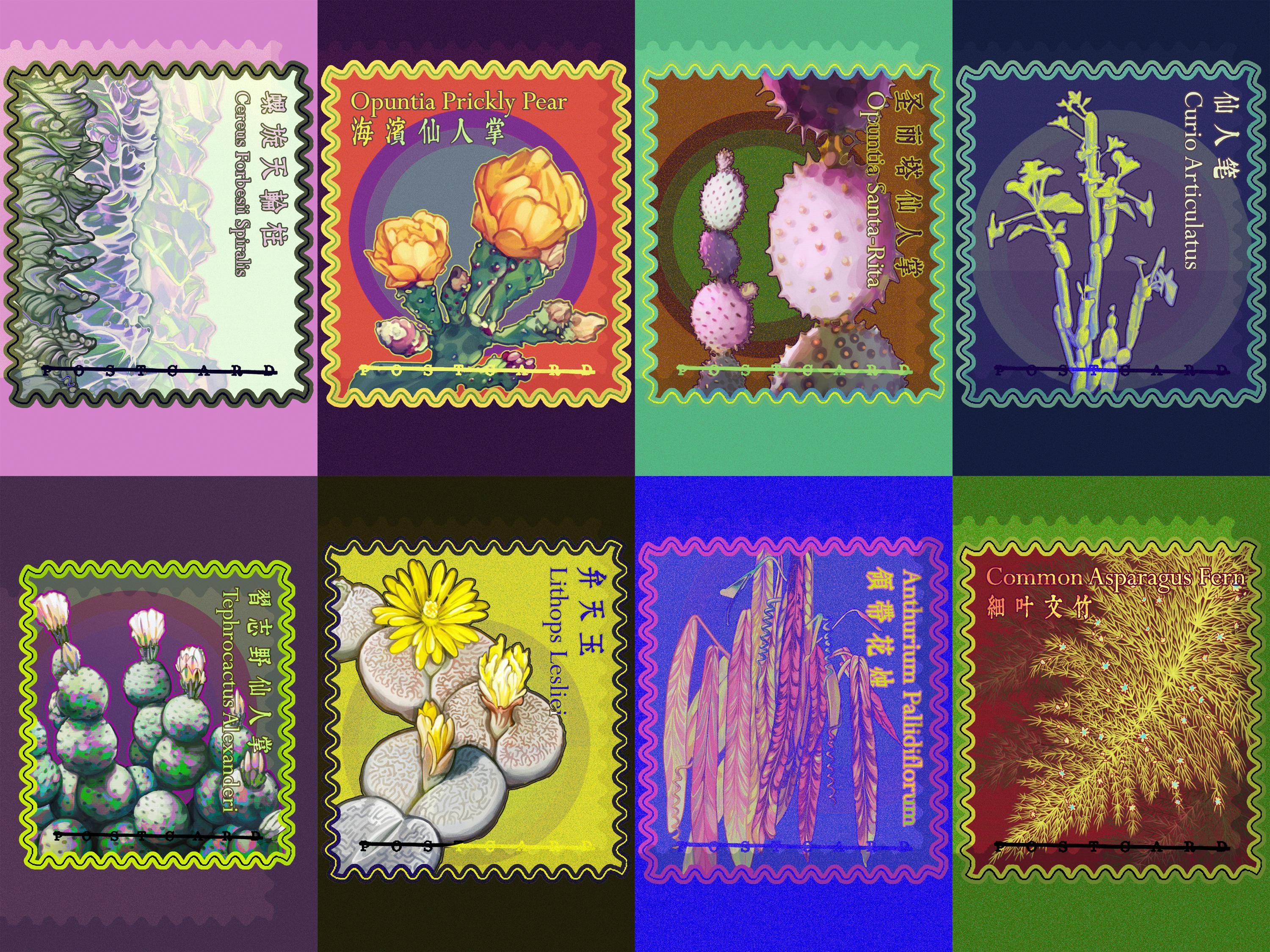 Holographic Postcards -A Collection of House Plants- - Etsy