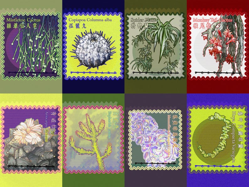 Holographic Postcards -A Collection of House Plants- - Etsy