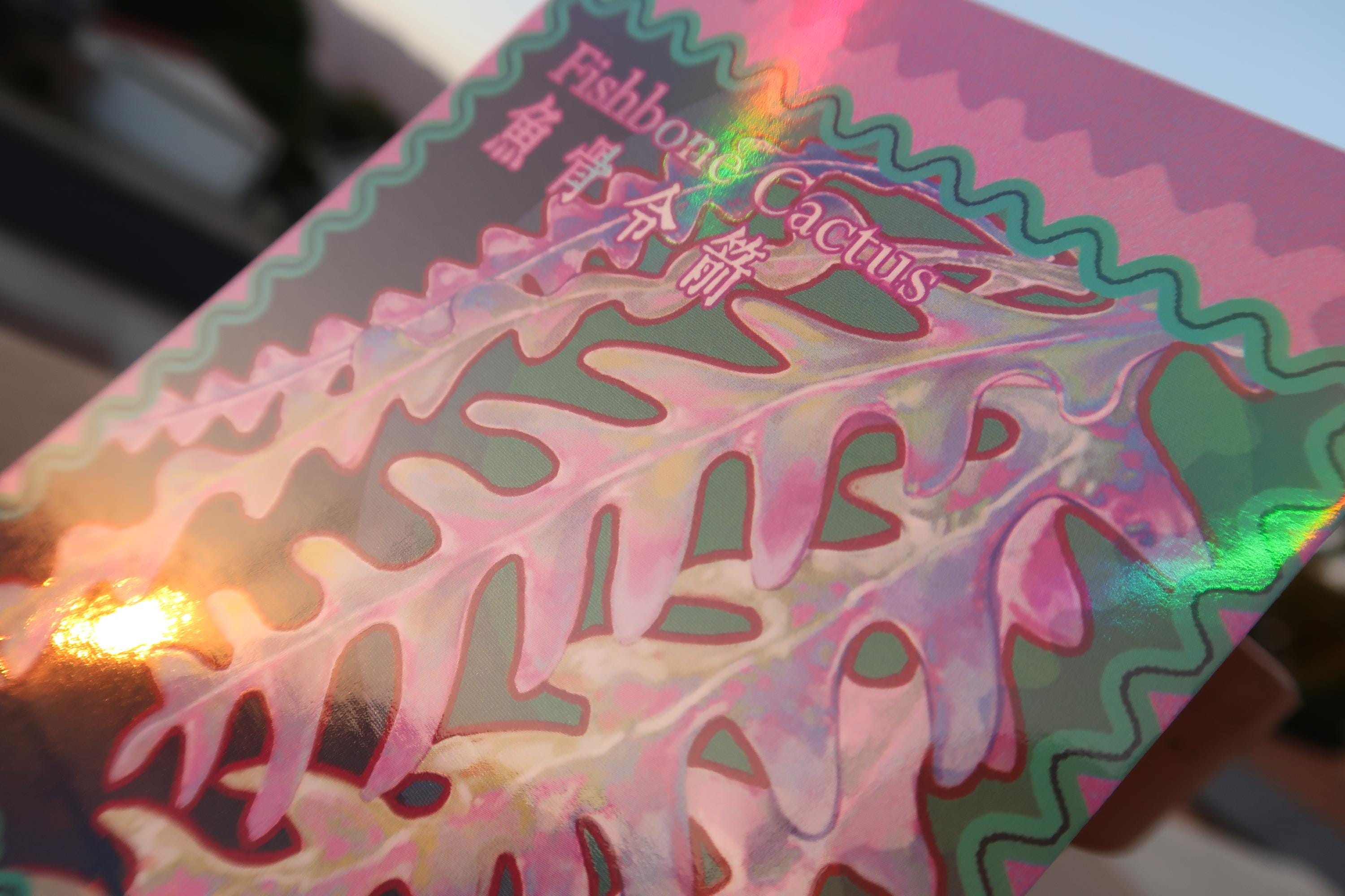 Holographic Postcards -A Collection of House Plants- - Etsy