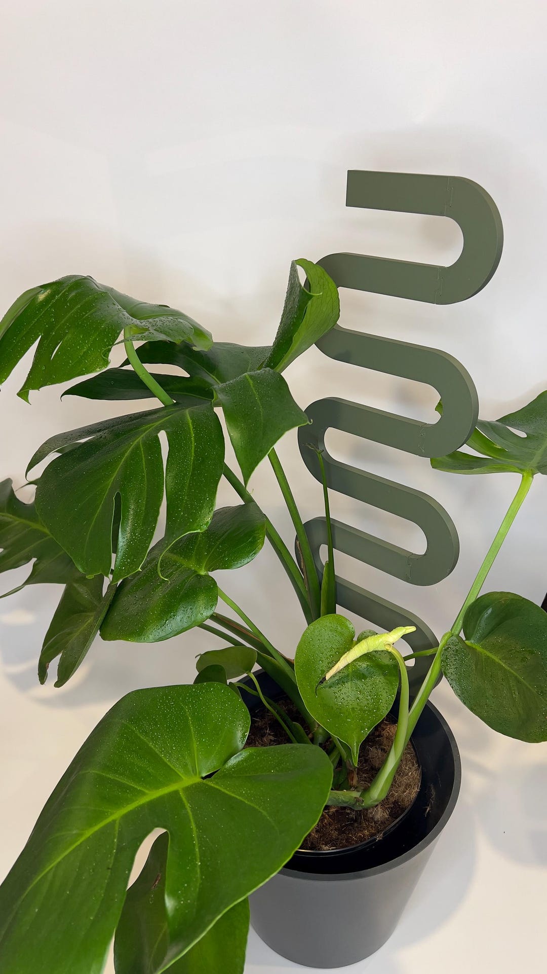 Wavy Indoor Plant Stake - Etsy