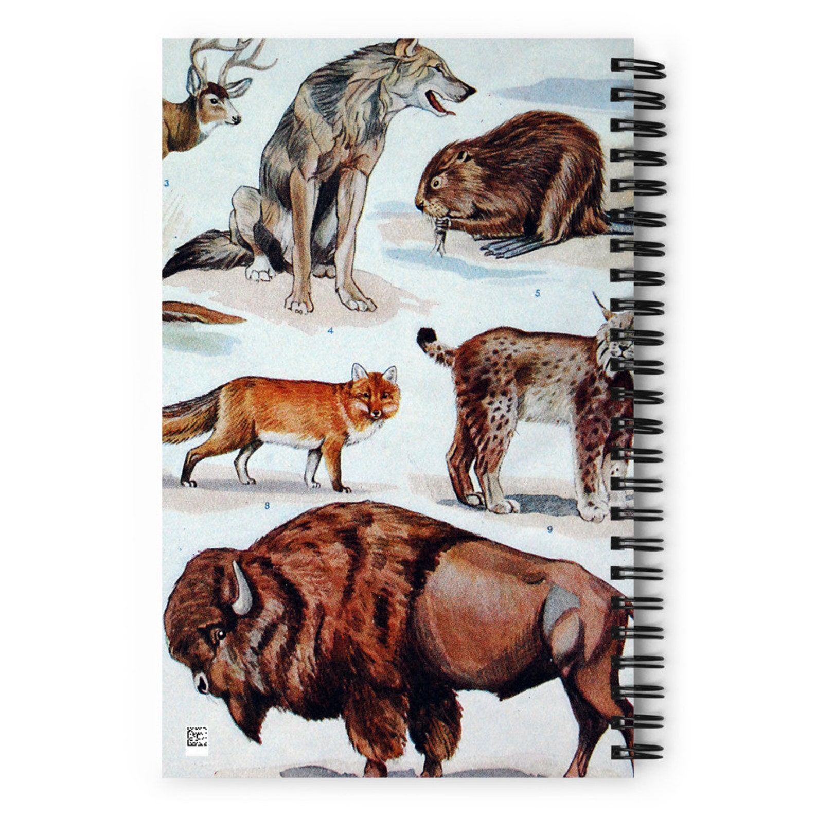 Vintage Animal Notebook Blank Journal Illustration Buffalo Fox Wolf ...
