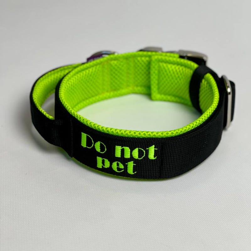Custom cobra buckle dog collar - Etsy.de