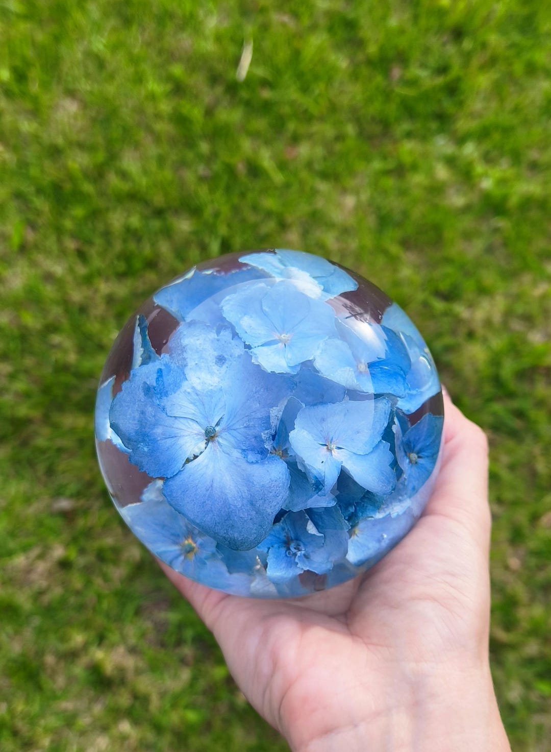 Resin Sphere Lamp With Real Blue Hydrangea Flowers Nightlight Home ...
