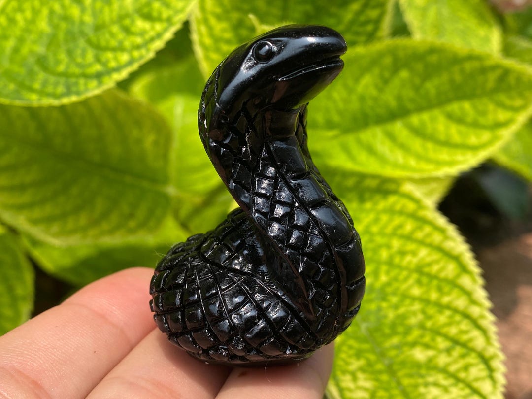 Hand Carved Obsidian Snake Skull: Crystal Home Decor - Etsy