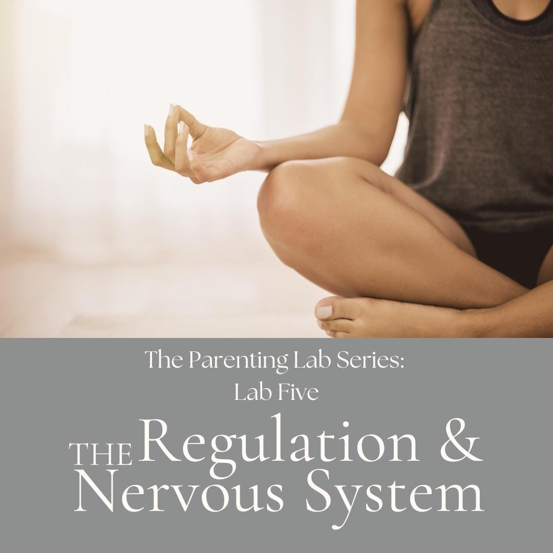 Nervous System Parenting Guide: Regulation, Co-regulation (printable ...