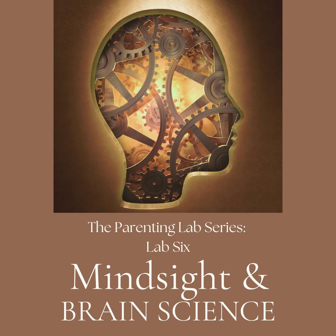 Mindsight & Brain Science: A Parent’s Guide to Understanding the ...