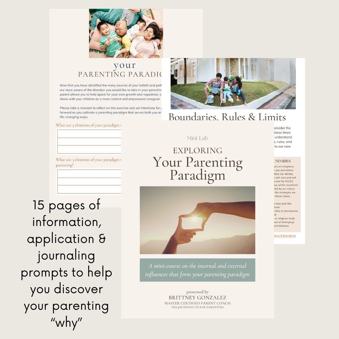 Parenting Paradigm PRINTABLE Workbook - Parenting Motivation ...