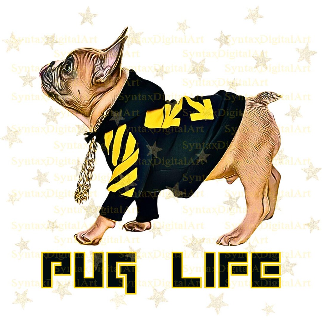 Pug Life Png, Funny Pug Dog Png, Thug Life, Hip Hop Pug Png, Pug Dog ...