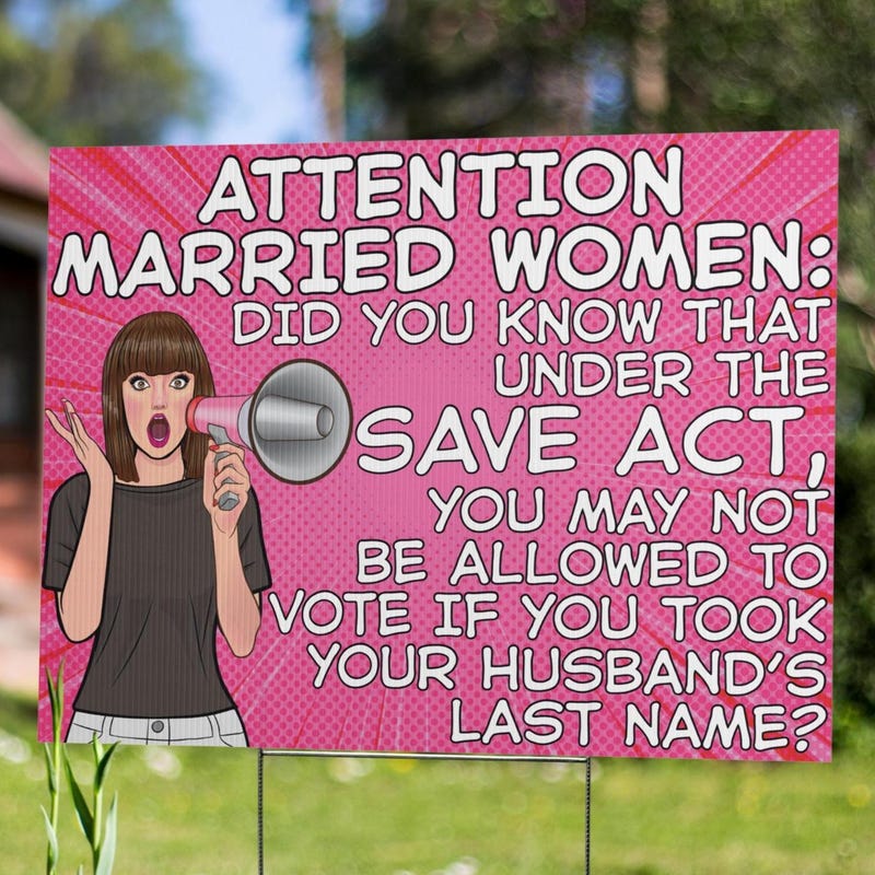 Save Voting Rights Signs - Etsy