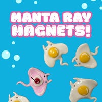 Manta Ray, Sting Ray Magnet - Etsy