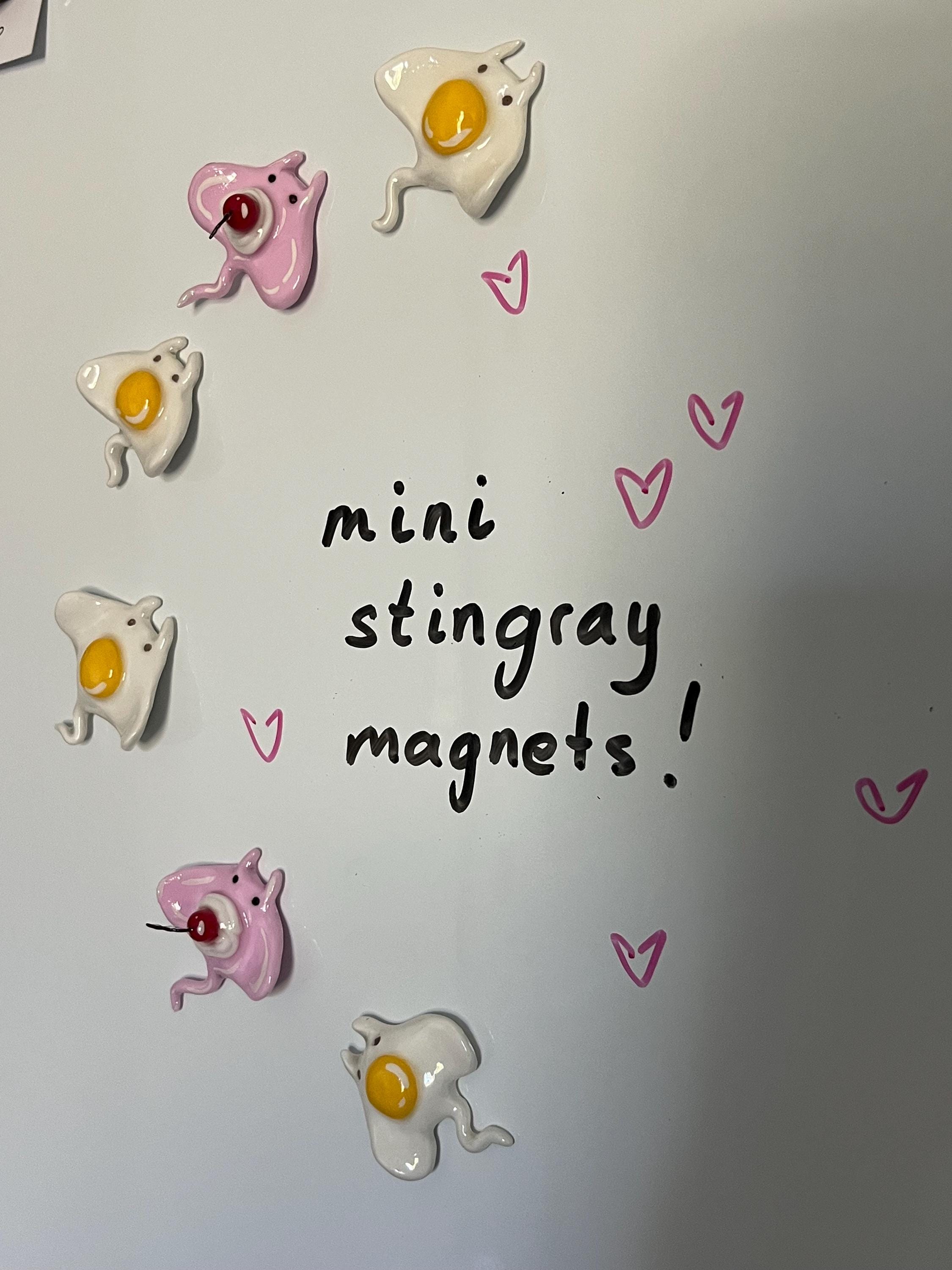 MINI EGGRAY- Handmade Manta Ray Magnet- Food Animal Magnet Hand-painted ...
