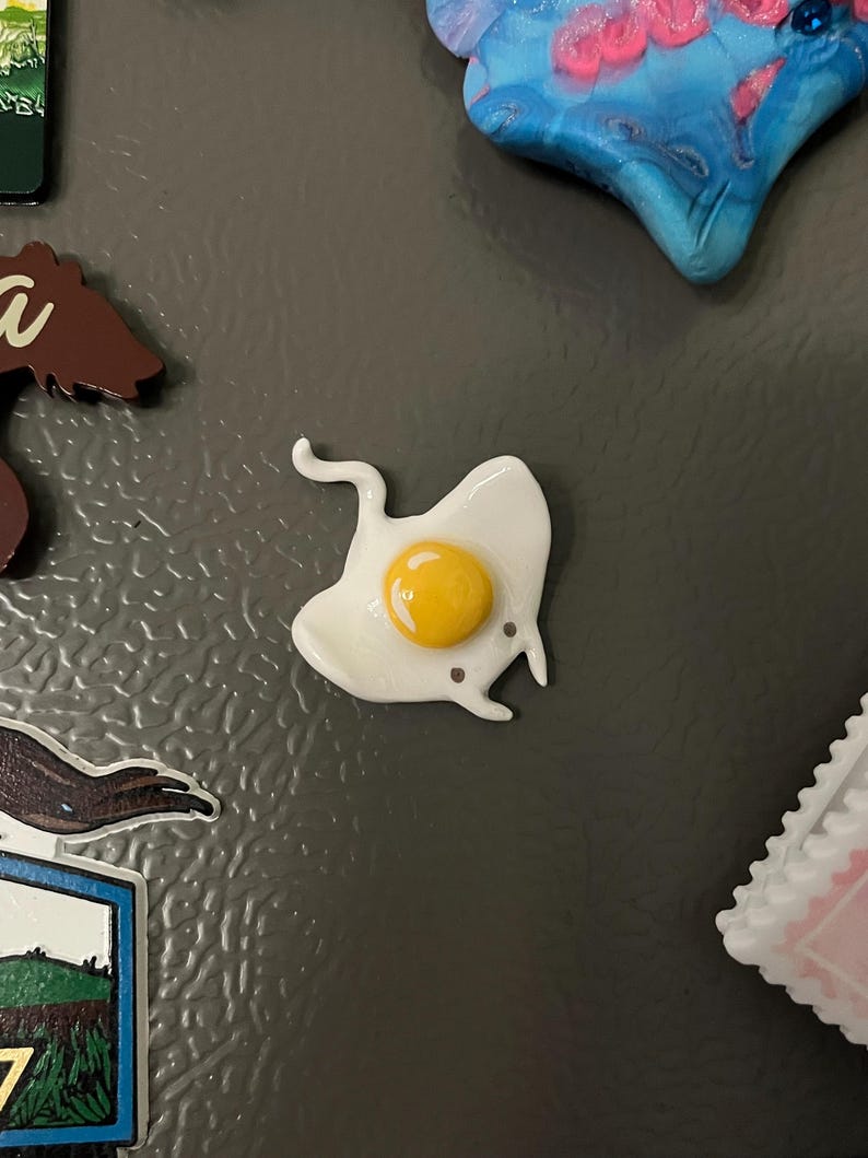 MINI EGGRAY- Handmade Manta Ray Magnet- Food Animal Magnet Hand-painted ...
