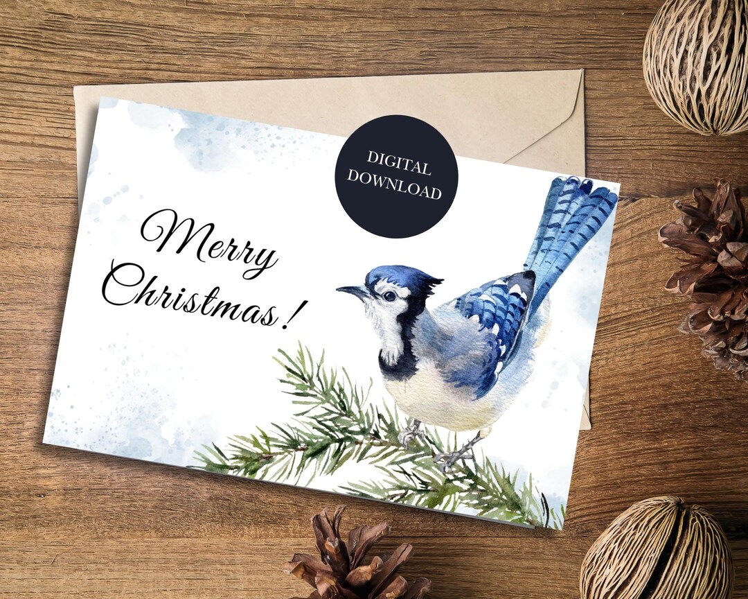 Printable Christmas Card, Blue Jay Christmas Card, Digital Xmas Card ...