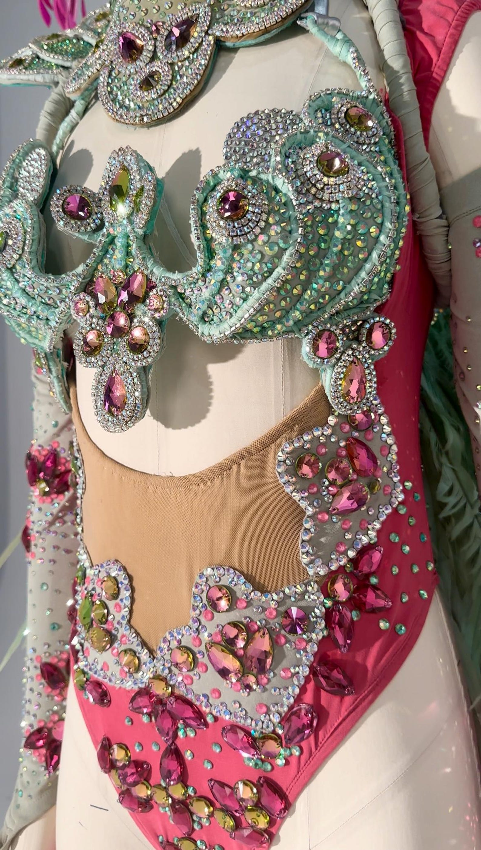 Samba Carnival Costume Made to Order - Complete With Pheasant Feather ...