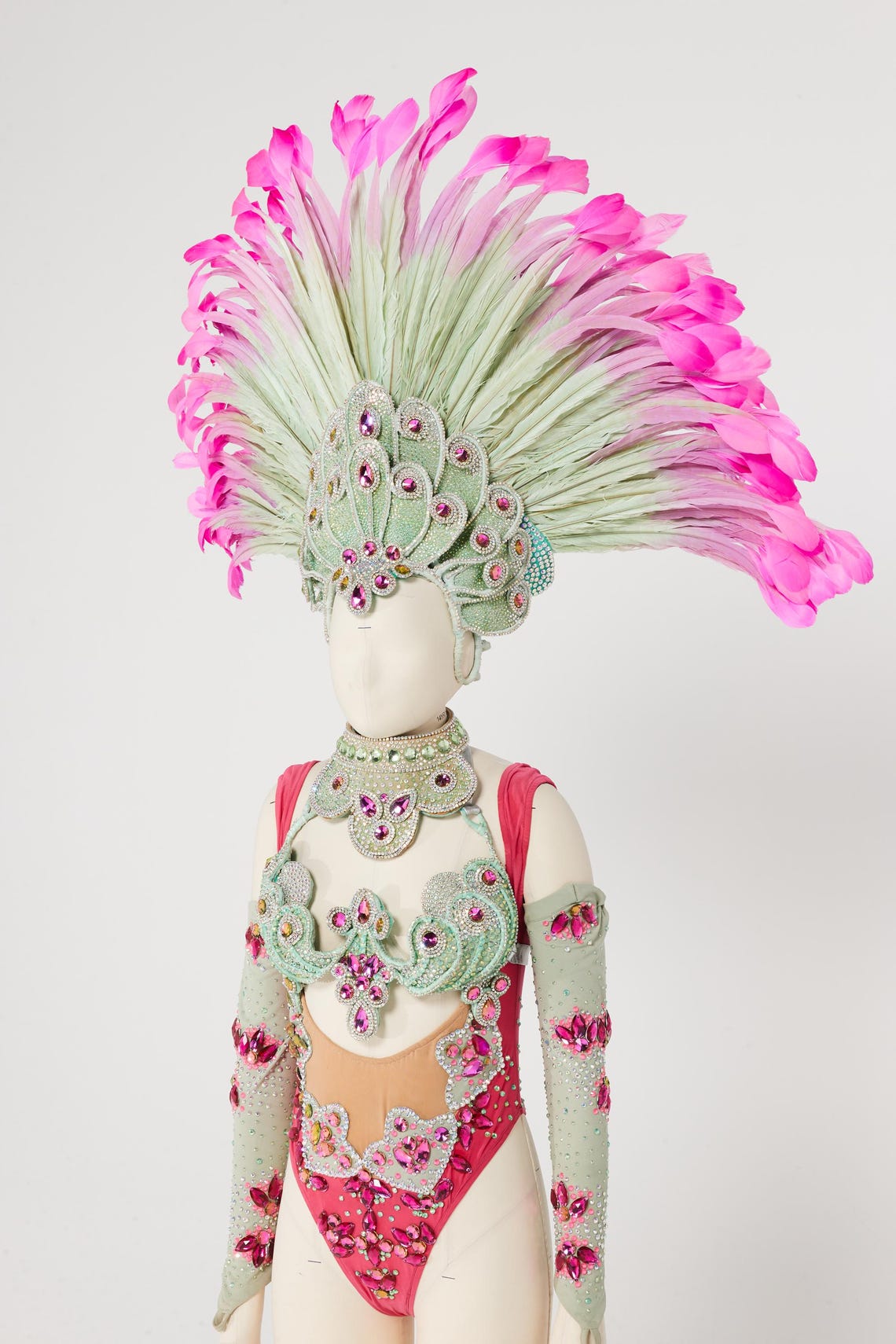 Samba Carnival Costume Made to Order - Complete With Pheasant Feather ...