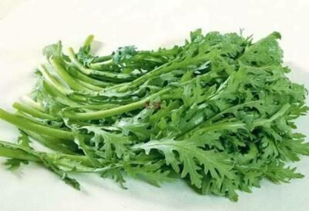 Glebionis Coronaria Seed 小叶茼蒿 - Etsy
