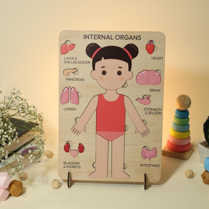 Human Body Puzzle - Etsy