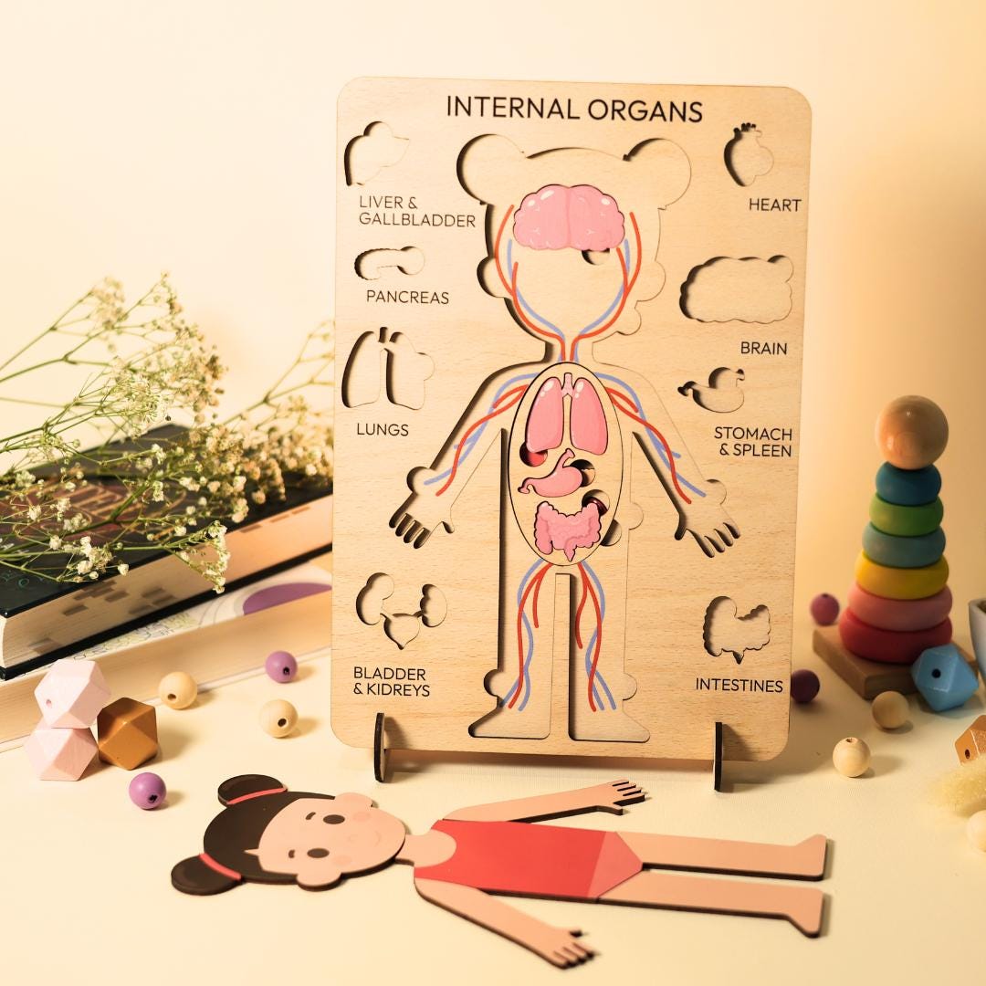 Body Puzzle, Anatomy Puzzle, Montessori Toys, Anatomy Board, Kids ...
