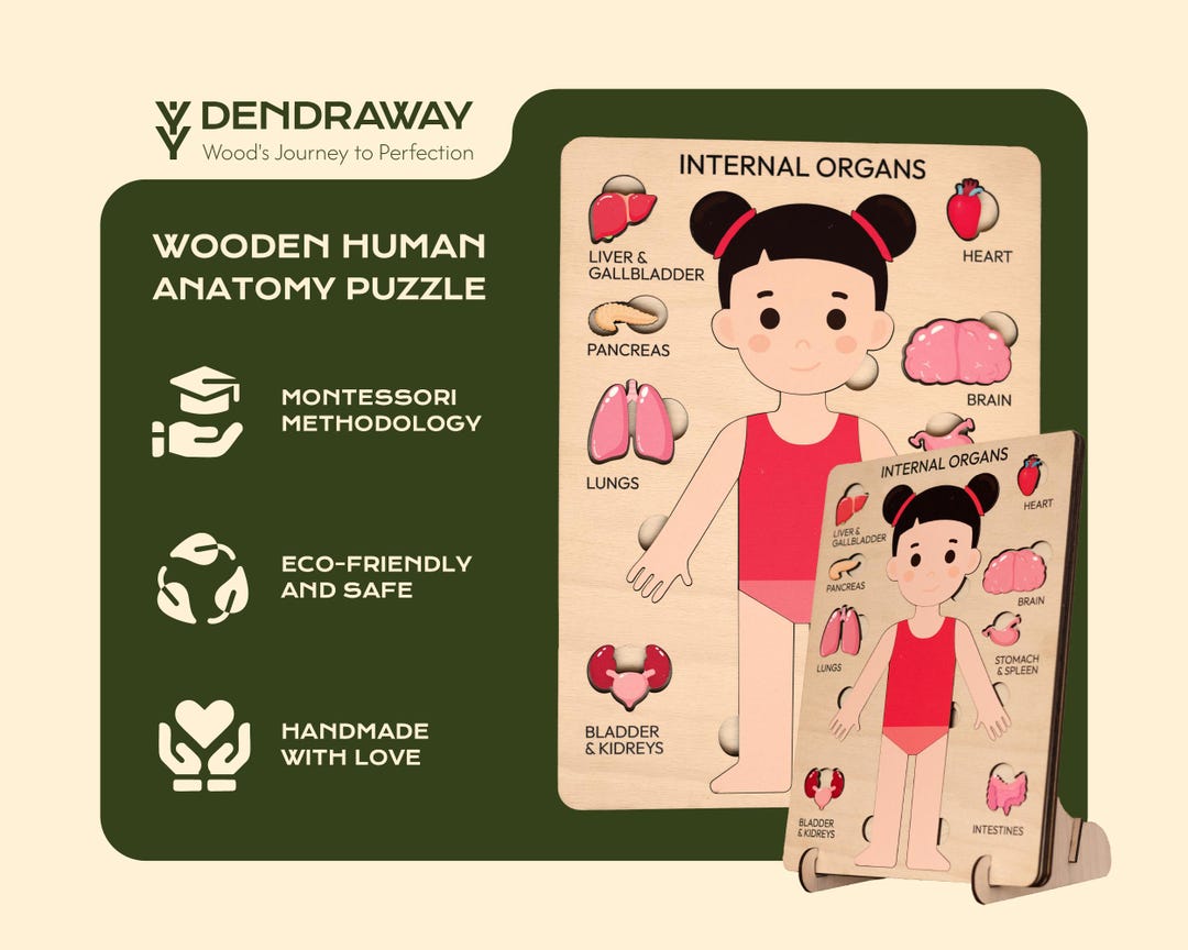 Interactive Human Body Puzzle for Kids | Montessori Educational Toy ...