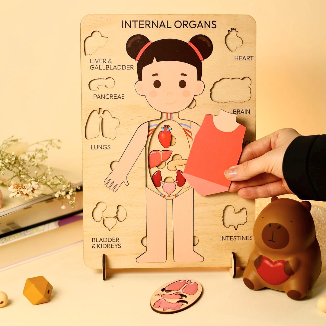 Wooden Human Anatomy Puzzle, Educational Body Set, Kids Montessori ...