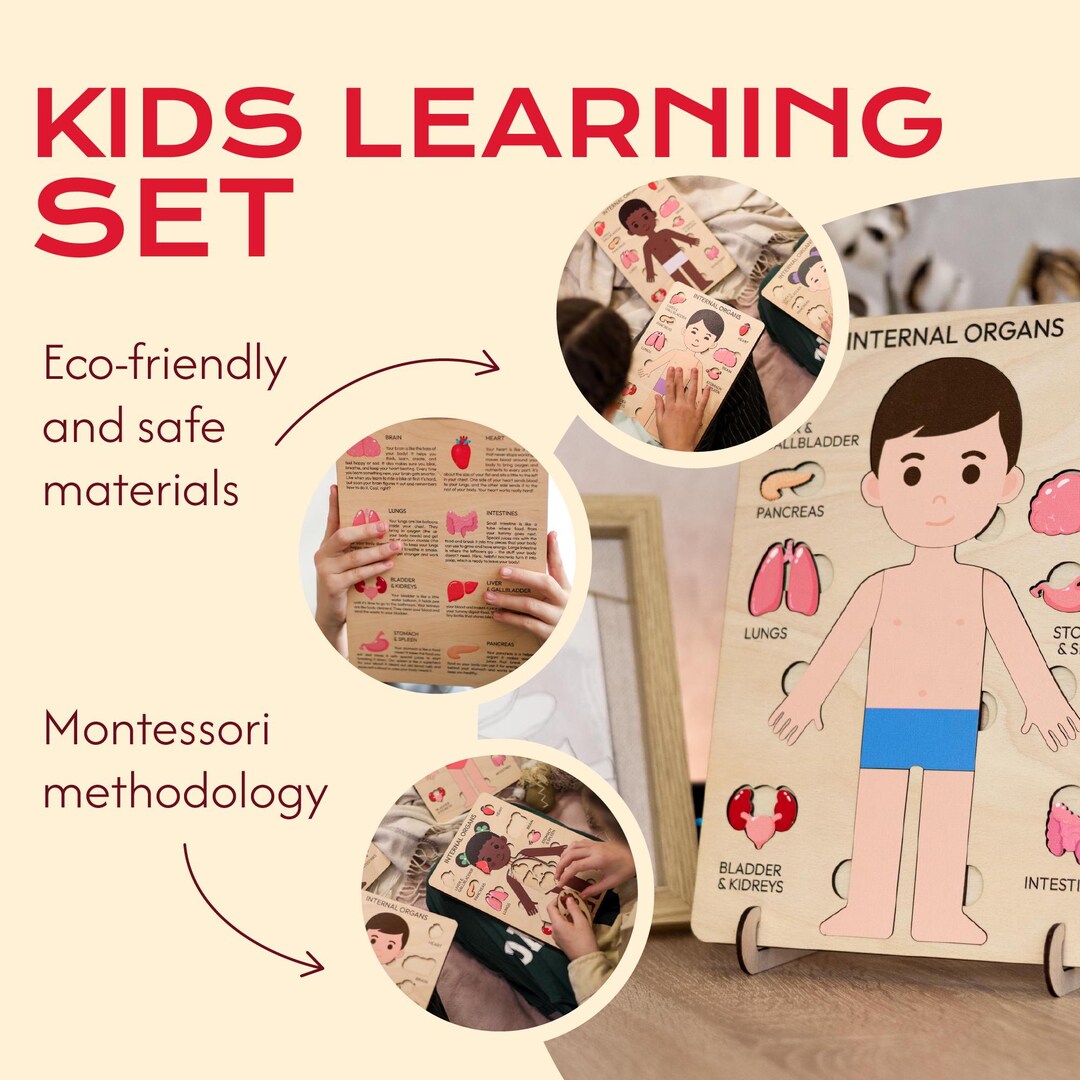 Montessori Human Body Puzzle – Wooden Learning Set for Kids | Birthday ...