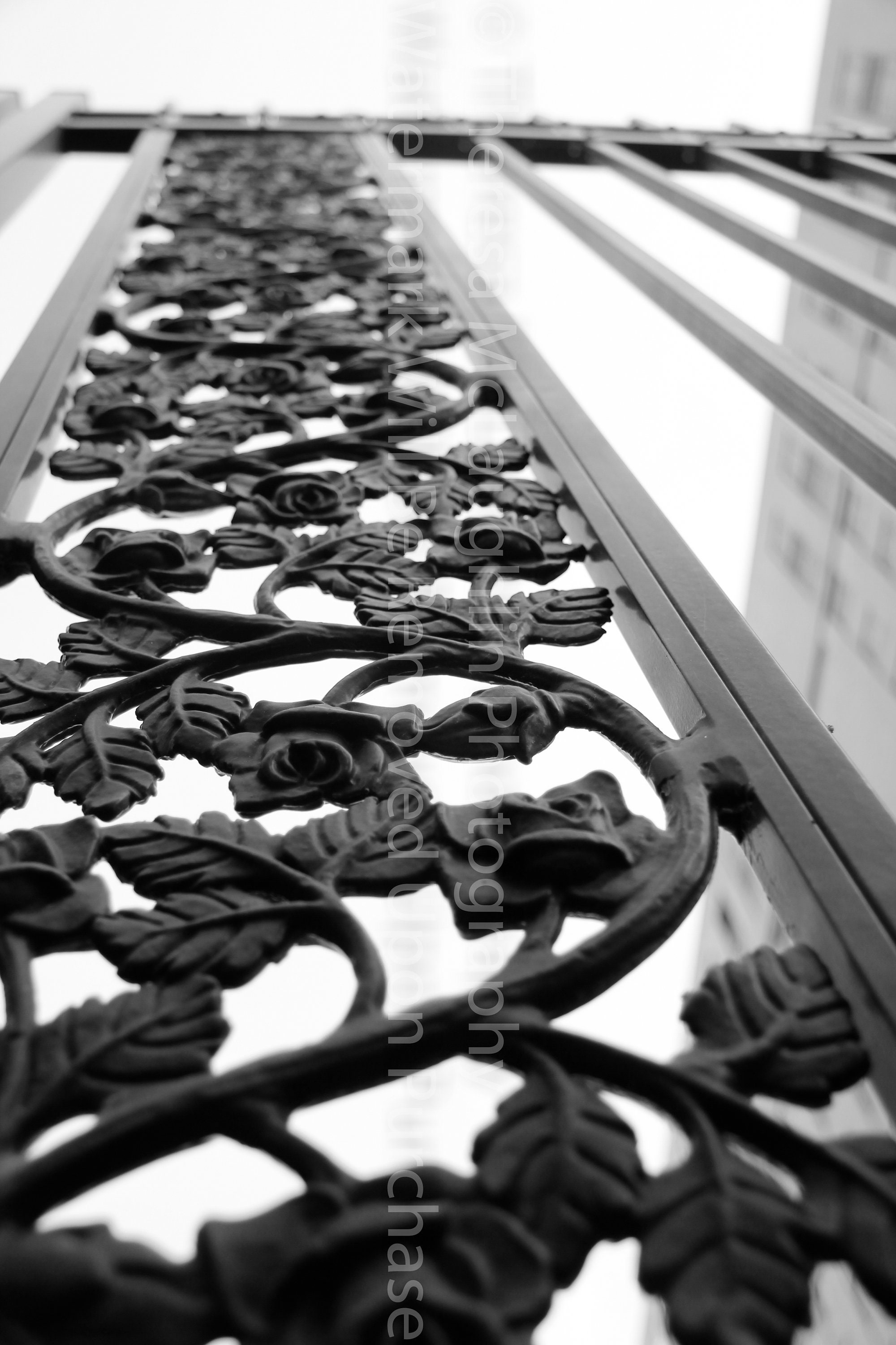 Floral Iron Fence, Wrought Iron Fence, Black and White, Wall Art - Etsy