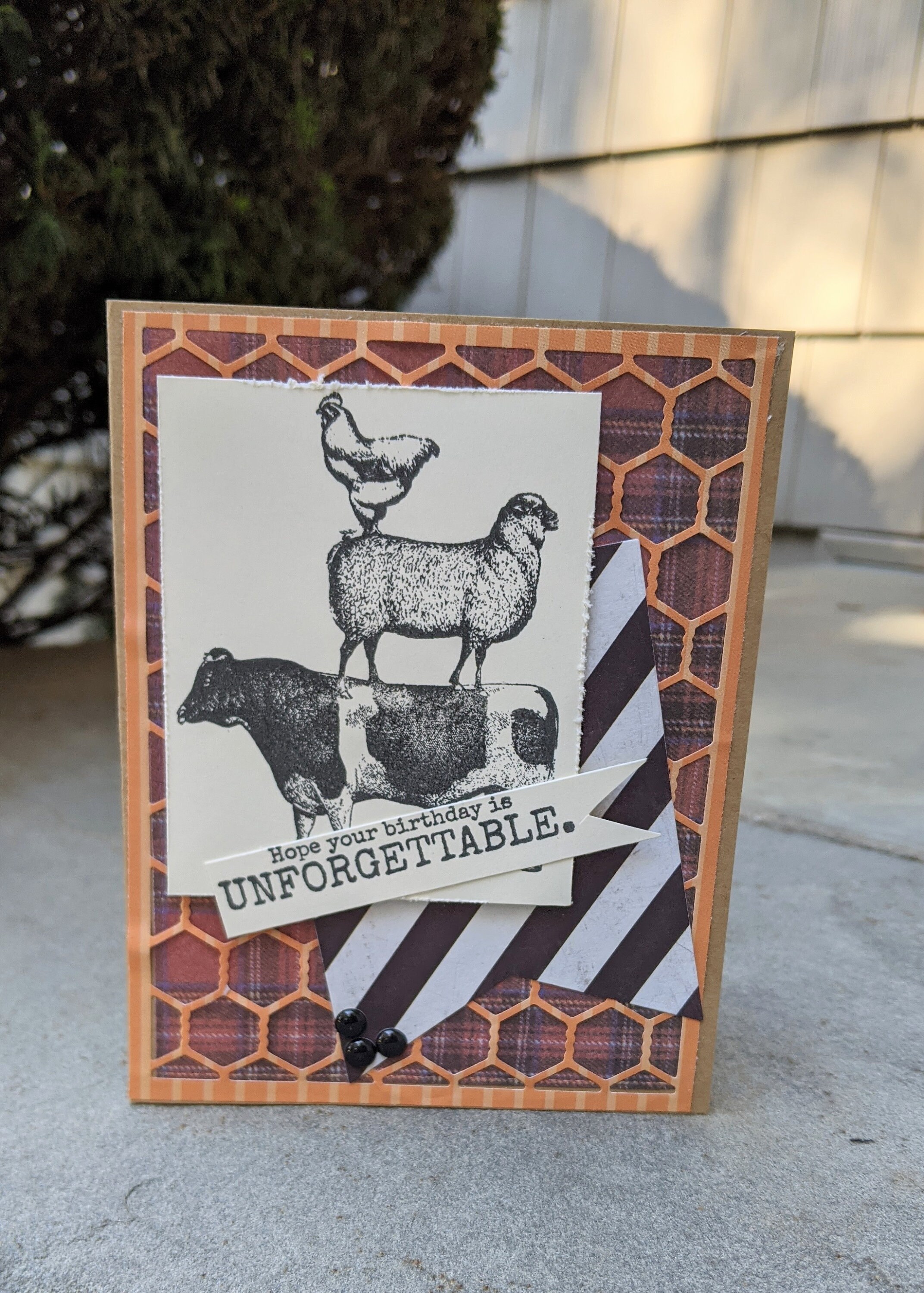 Happy Birthday Birthday Wishes Handmade Card Farm Animals Cute Animals ...