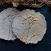 Handmade Botanical Cast Papers. Set of 10 Papers. - Etsy