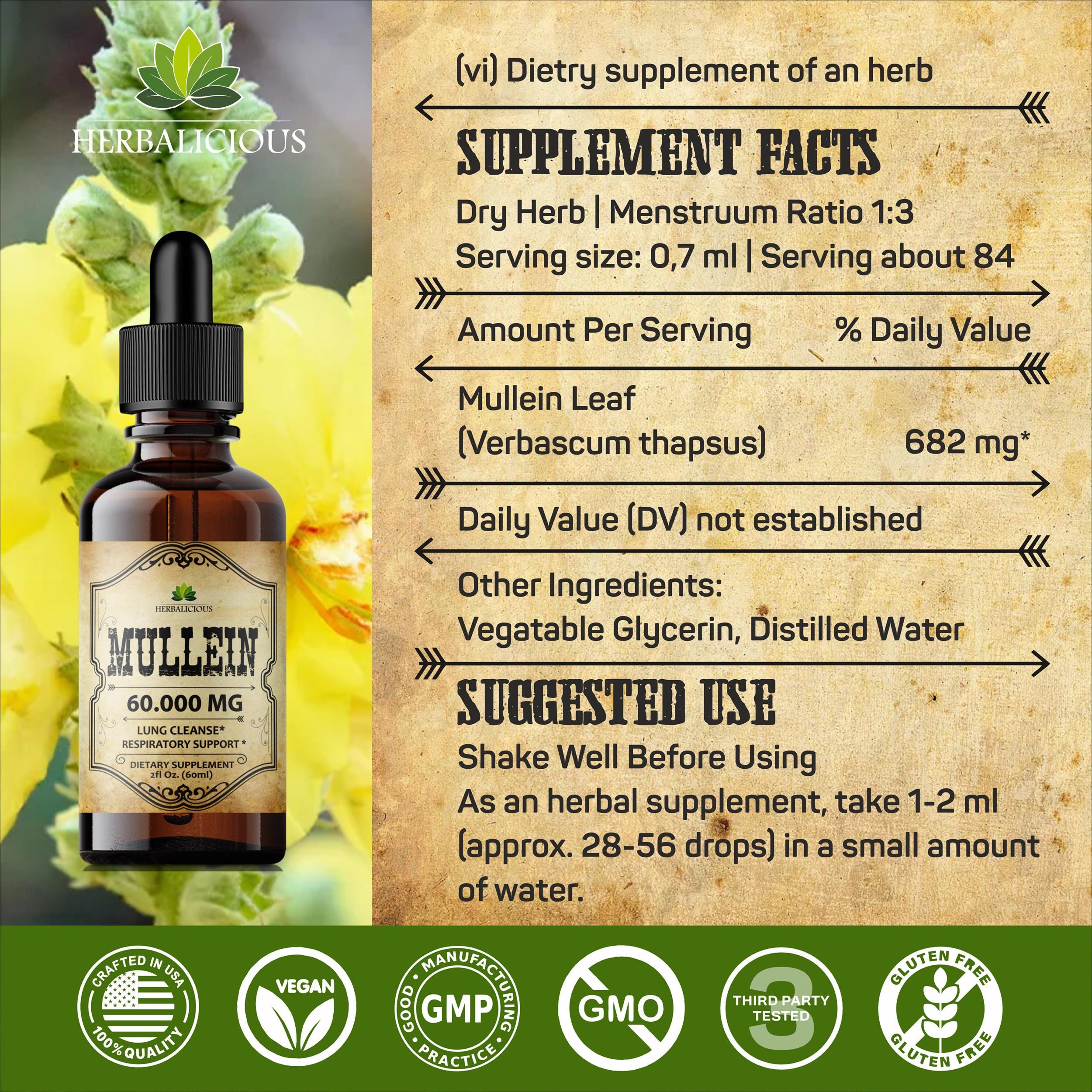 Mullein Leaf Extract 2 Oz | Herbal Tincture | Alcohol-free Botanical ...