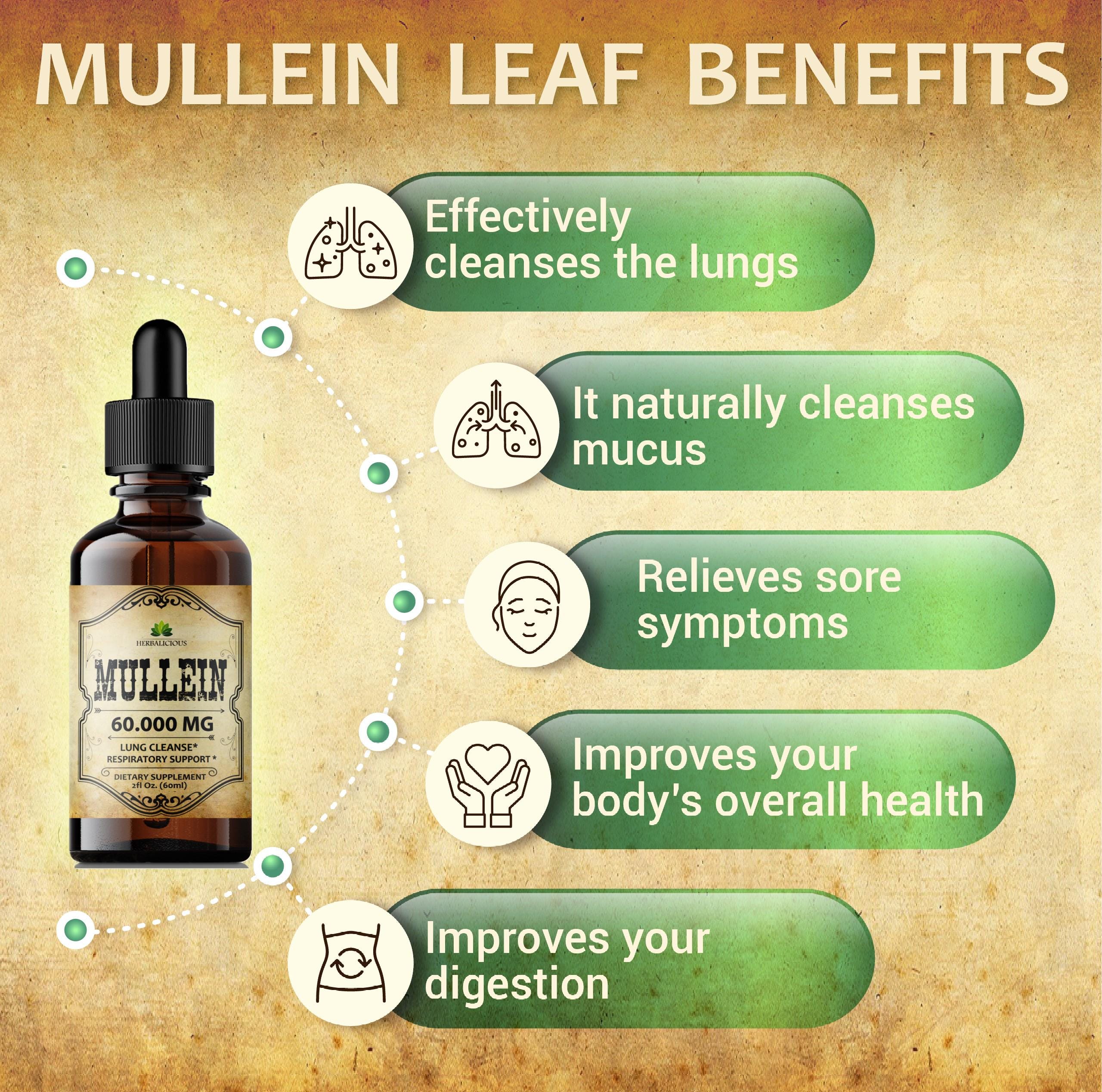 Mullein Leaf Extract 2oz - Lung Detox & Respiratory Support - Herbal ...