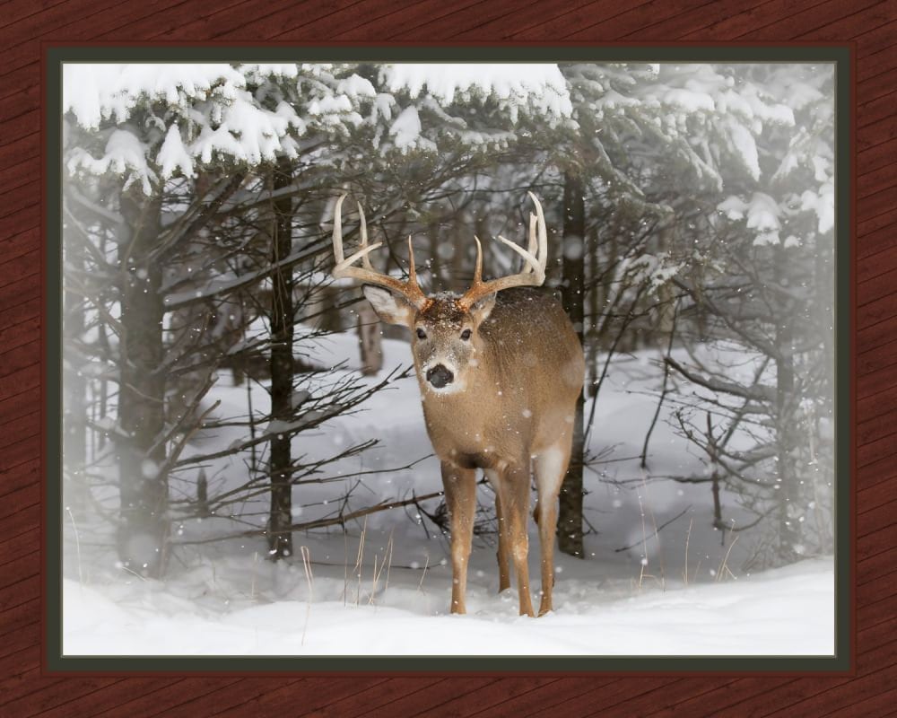 WINTER TROPHY Fabric Quilt Panel 100% Cotton, Deer, Buck, Hunting, Snow ...