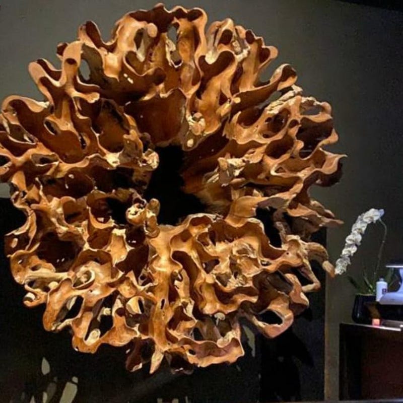Wood Root Coffee Table - Etsy