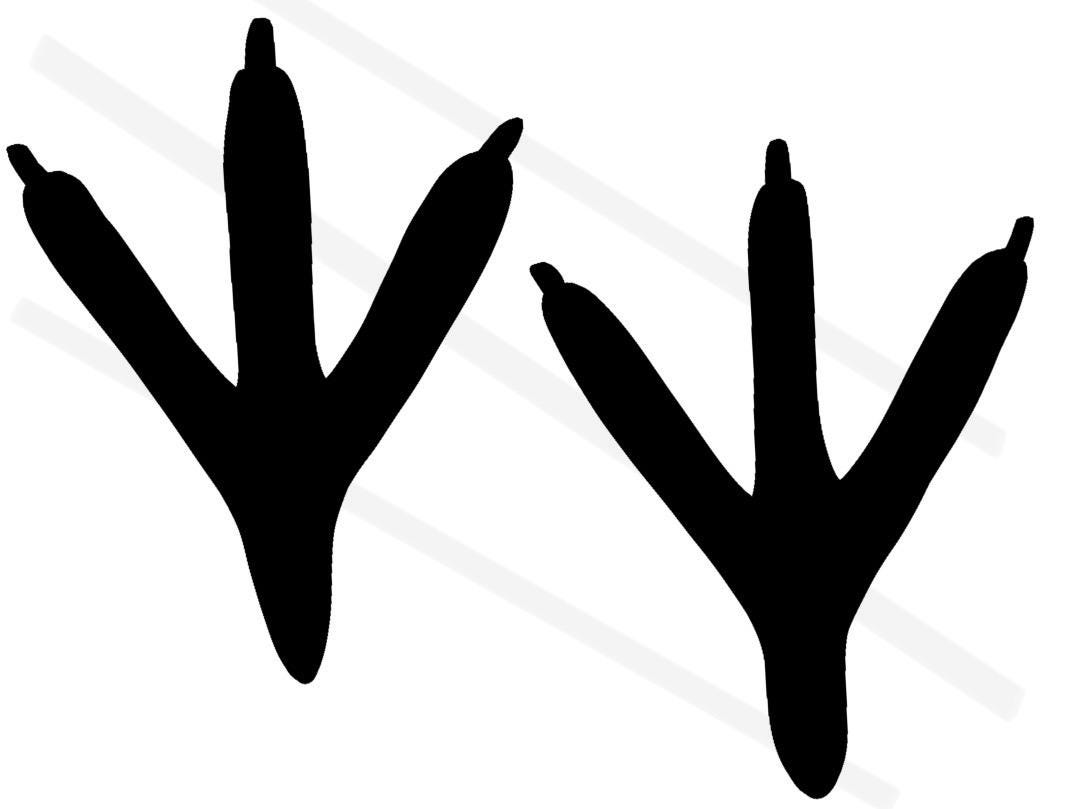 Chicken Feet Heart SVG - Etsy