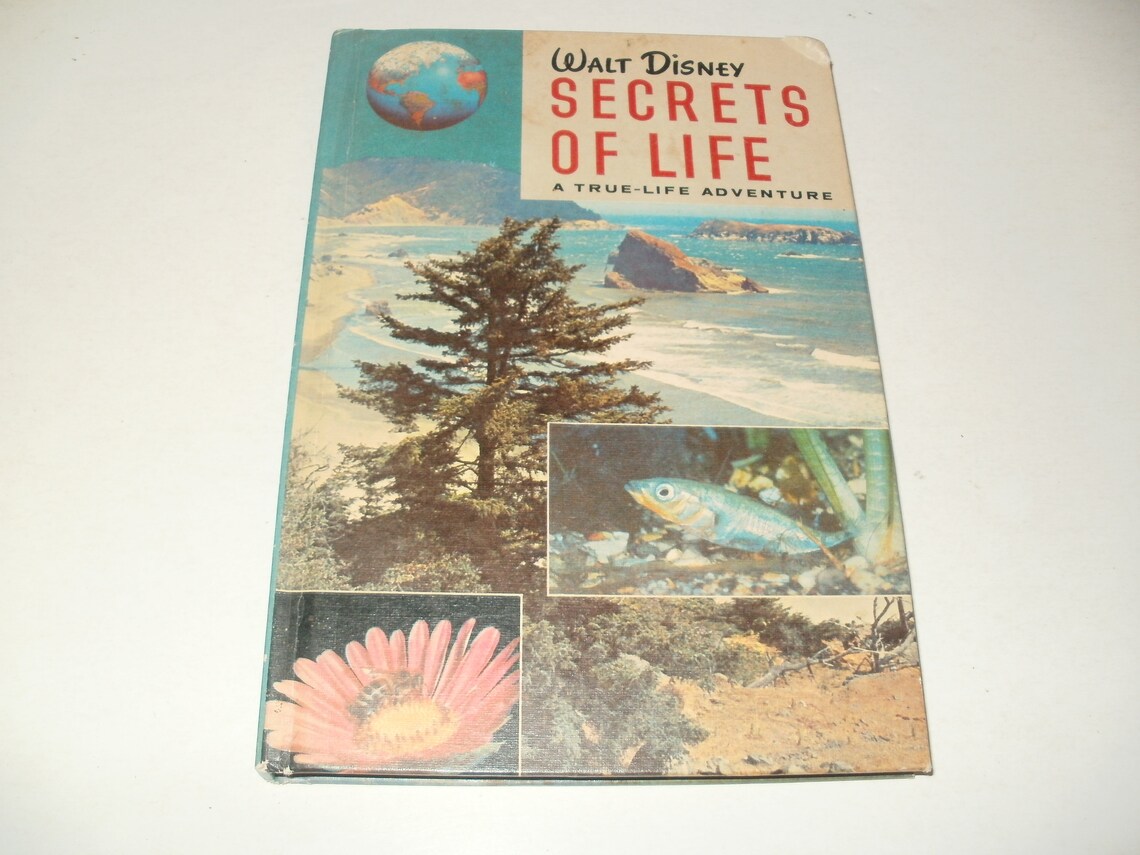 Walt Disney Book Secrets of Life A True Life Adventure - Etsy