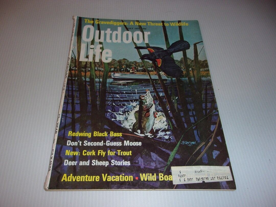 Outdoor Life Magazine July 1970 Vintage Sporting Guns, Ads, Fishing ...