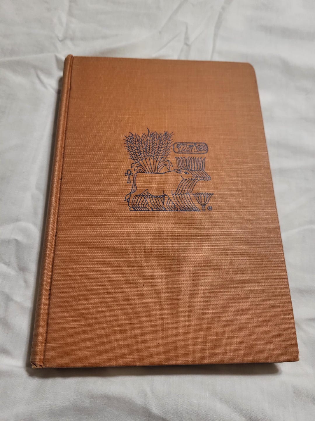 The Story of Joseph: Vintage Illustrated Hardcover Book, 1950 - Etsy