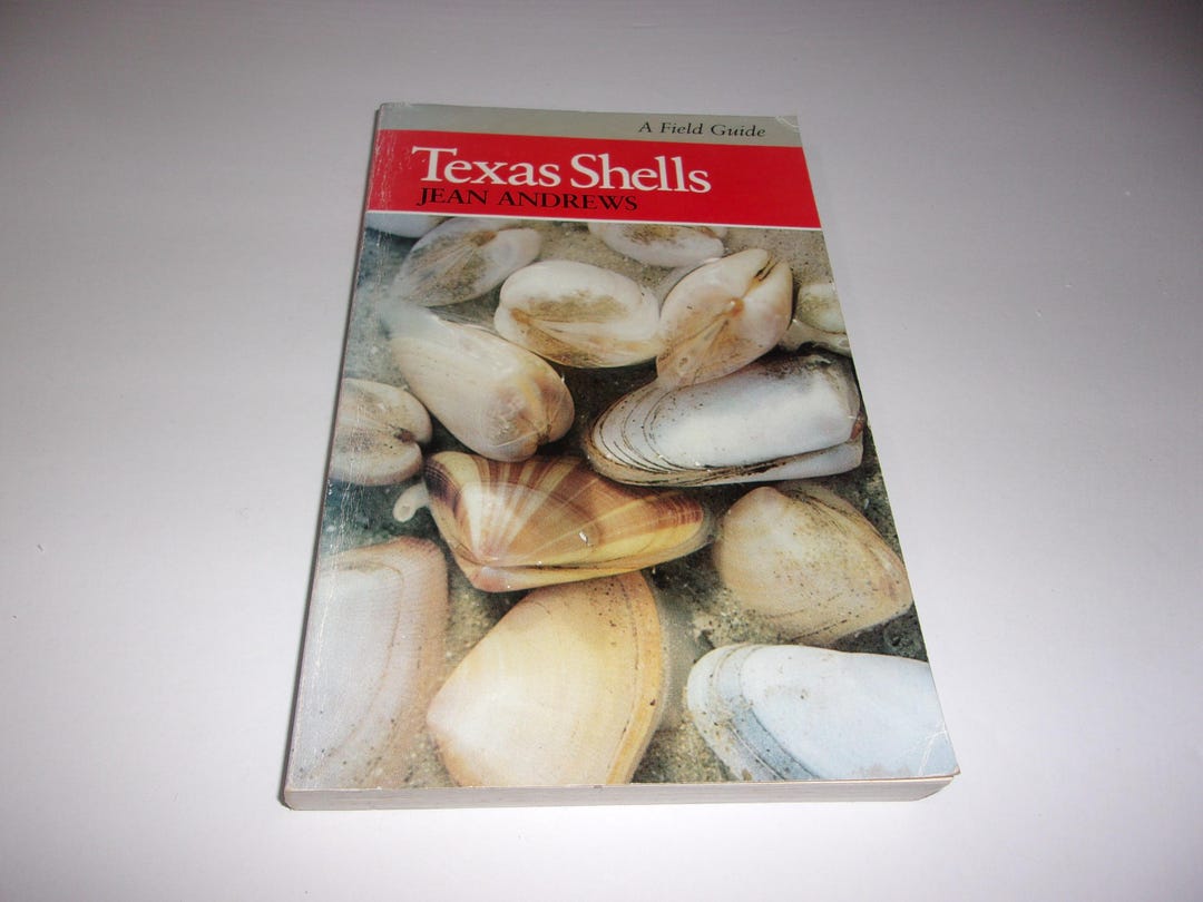 Vintage Texas Shells Field Guide by Jean Andrews, 1981 - Etsy