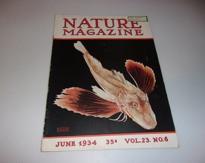 Vintage Nature Magazine June 1934 Volume 23 Number 6 - Gurnard Fish ...