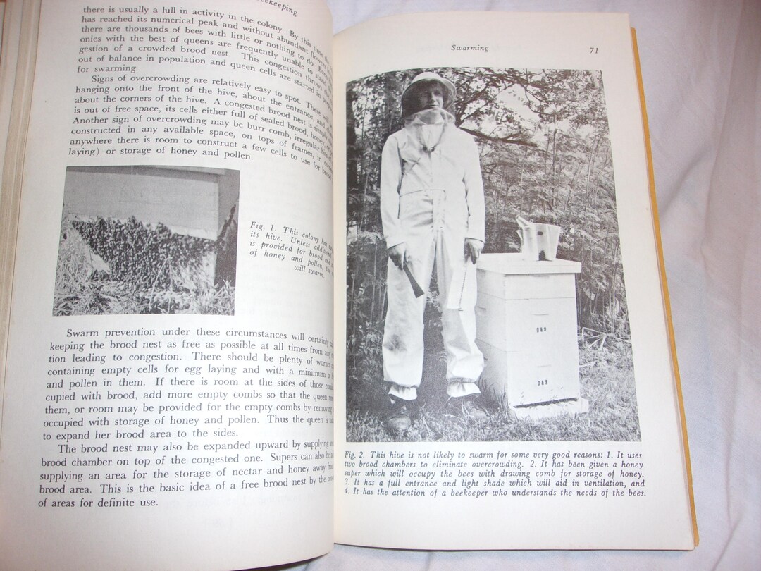 First Lessons in Beekeeping by C.P. Dadant & Sons, Vintage 1979 ...