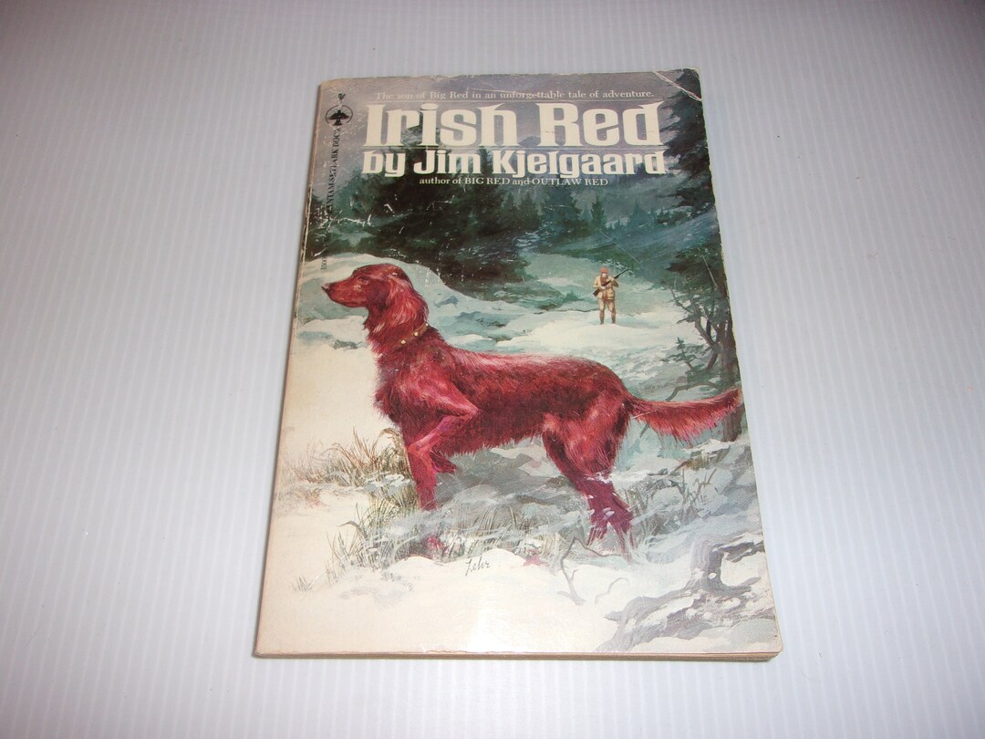 Irish Red by Jim Kjelgaard - Vintage 1981 Children's, Young Readers ...